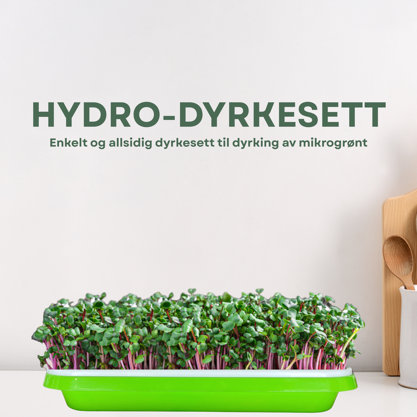 Hydroponisk Mikrogrønt Sett - Mikrohage – Mikrohage.no
